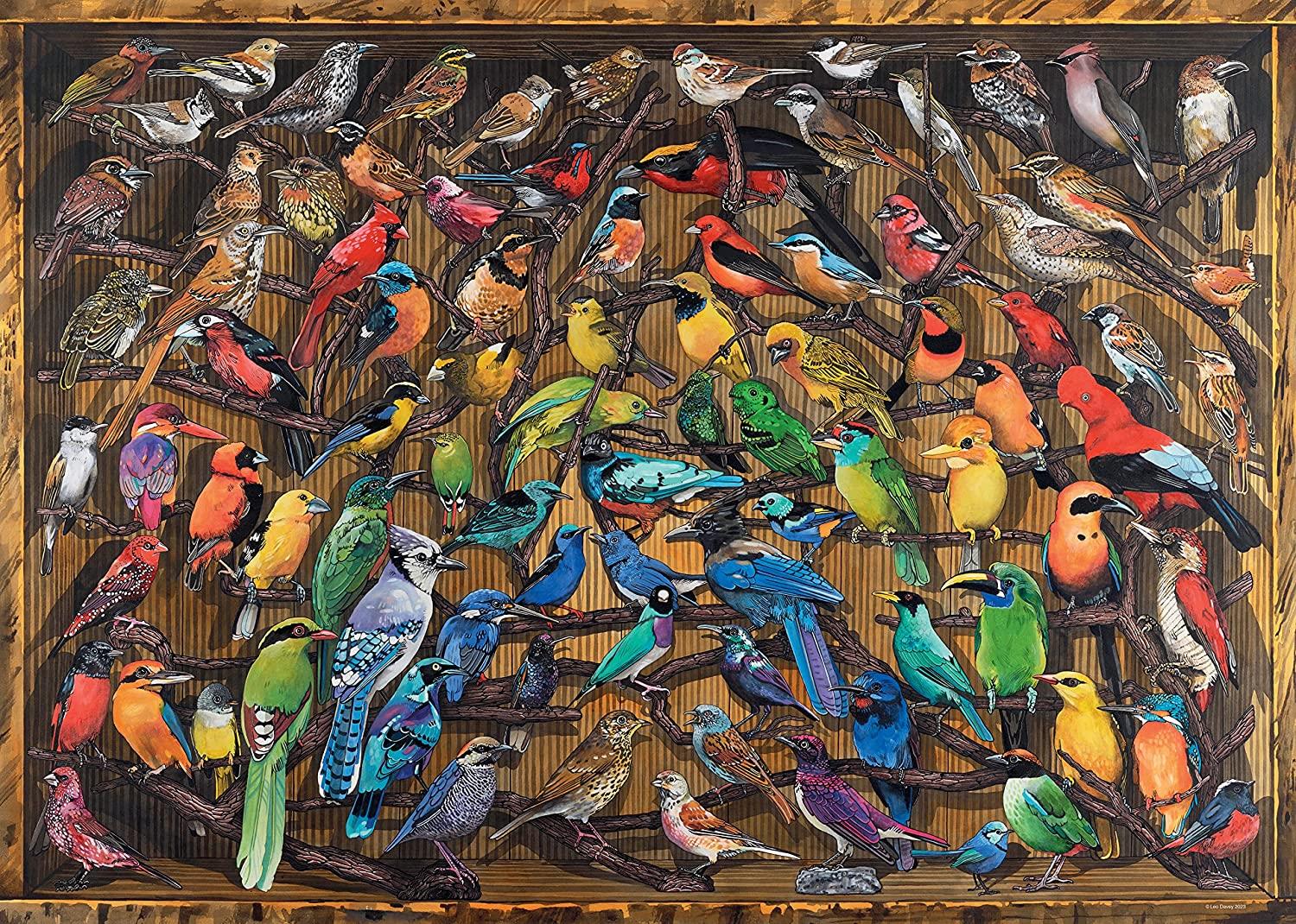Ravensburger Rainbow Birds Jigsaw Puzzle 1000 Pieces PDK